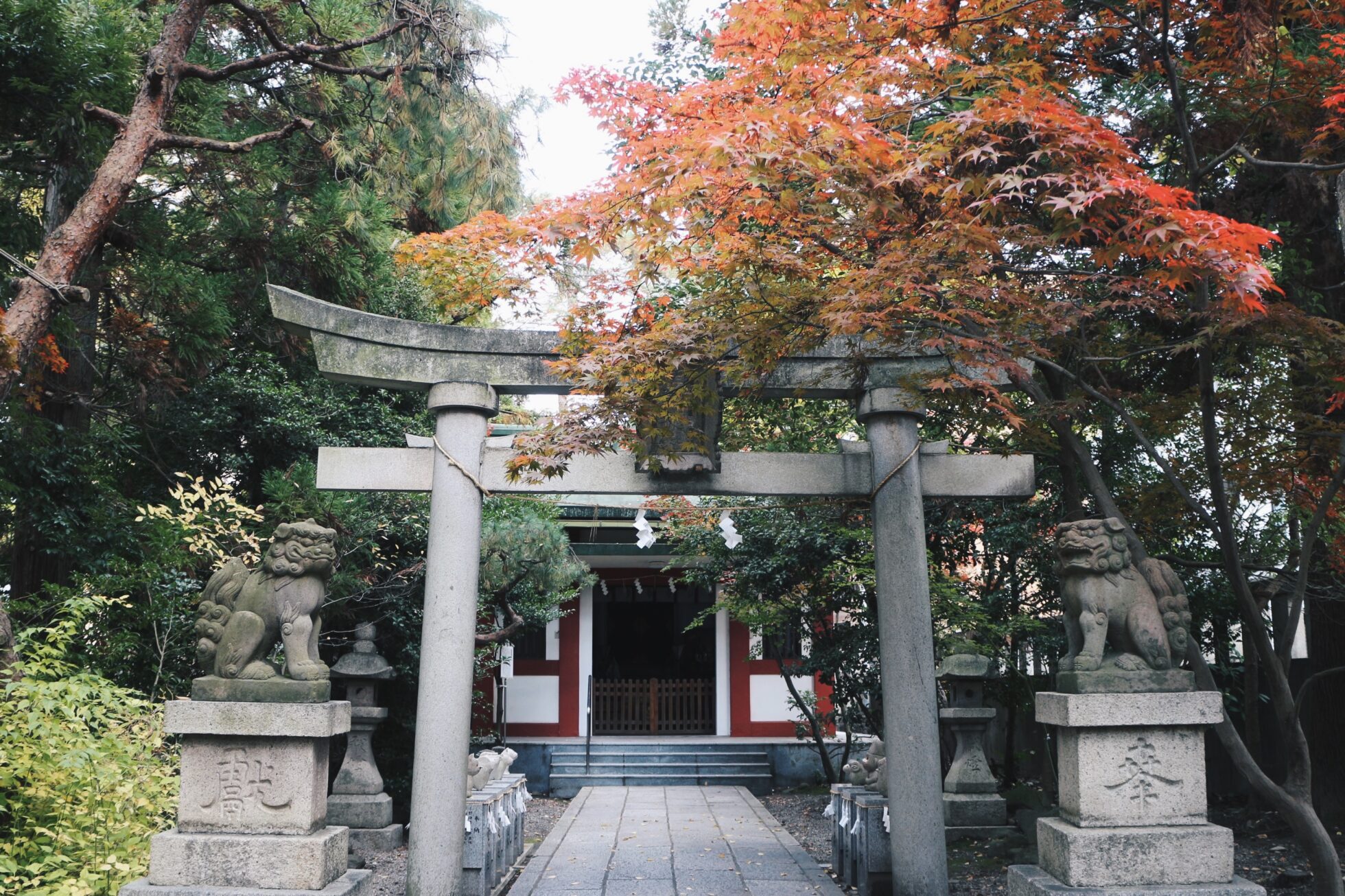 神社からカフェまで、地域に愛されるスポットへ | TRAVEL | 「大人の旅」を豊かにするWEBマガジン | COMFORTS